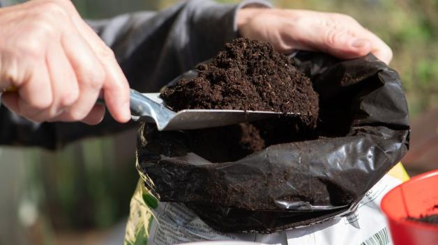 Torf-Abbau in NIedersachsen: Umweltskandal im Naturschutzgebiet?
