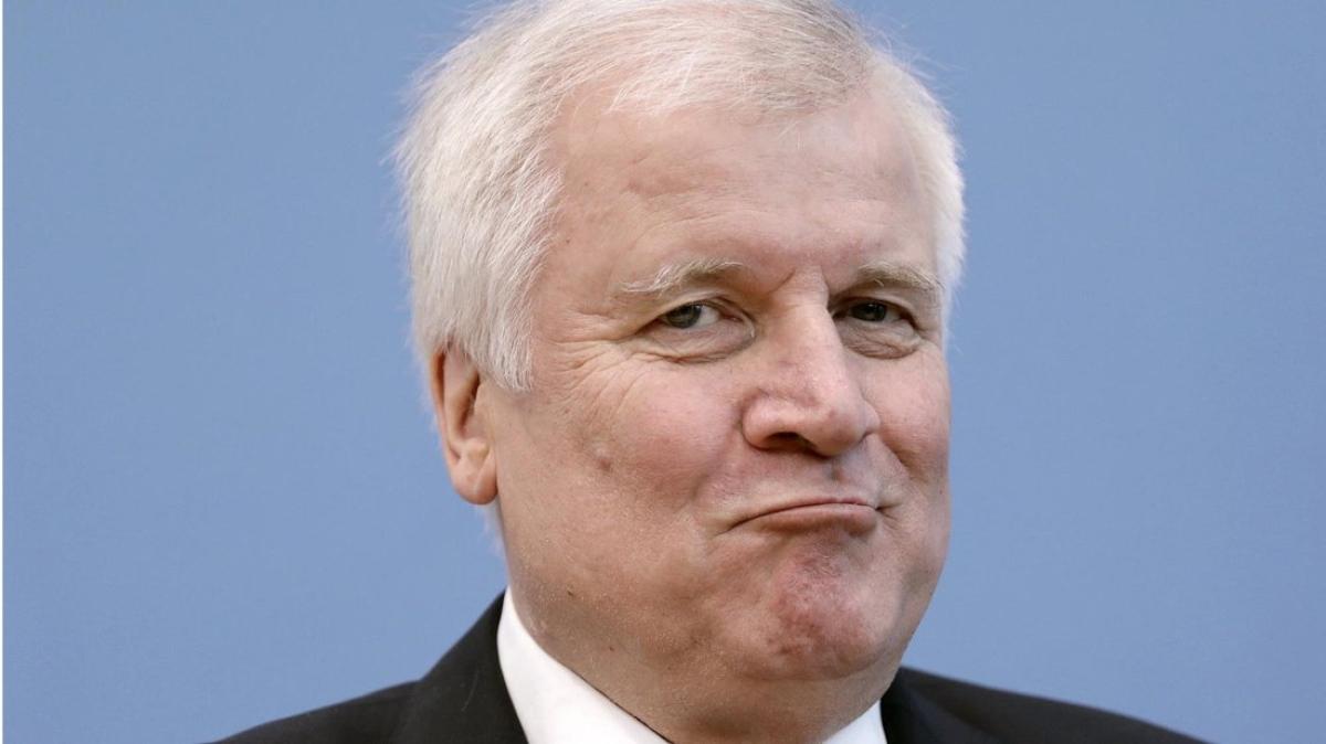 Wie Horst Seehofer seine Posten und die GroKo retten | NOZ