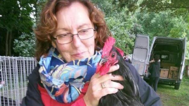 Moorbrand: Hilfe für Haustiere im Emsland