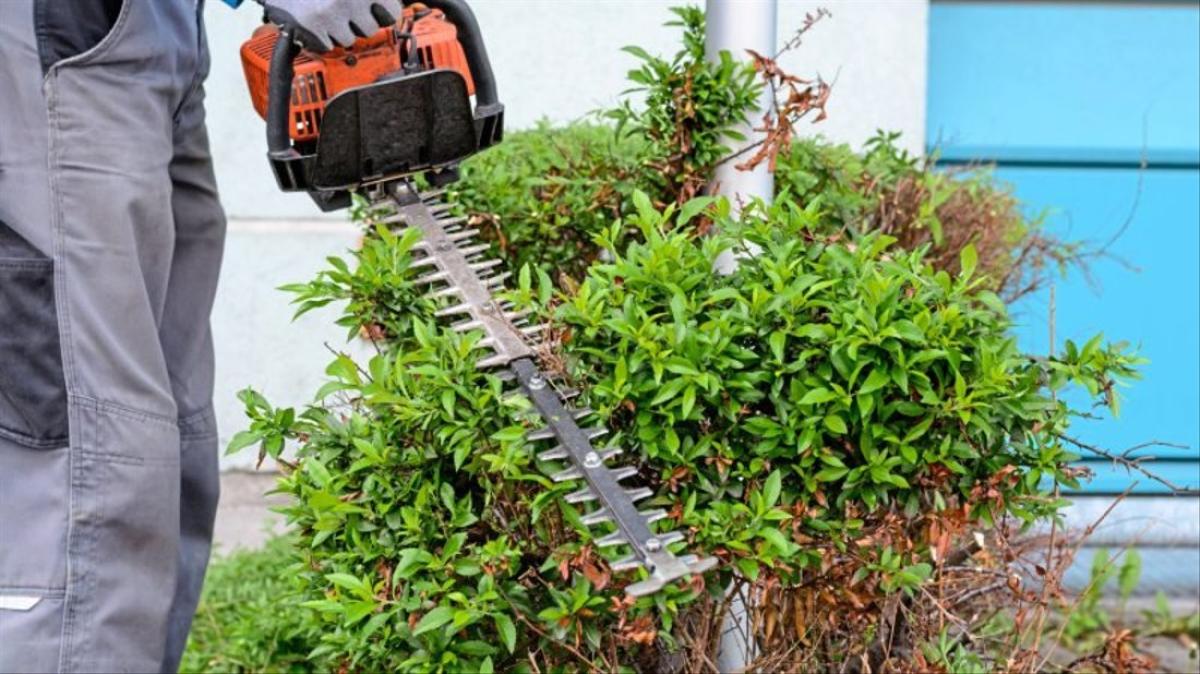 Das ändert sich zum 1. Oktober | NOZ