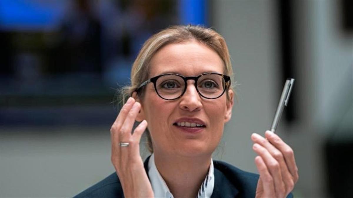 AfD klettert auf 17,5 Prozent und überholt die