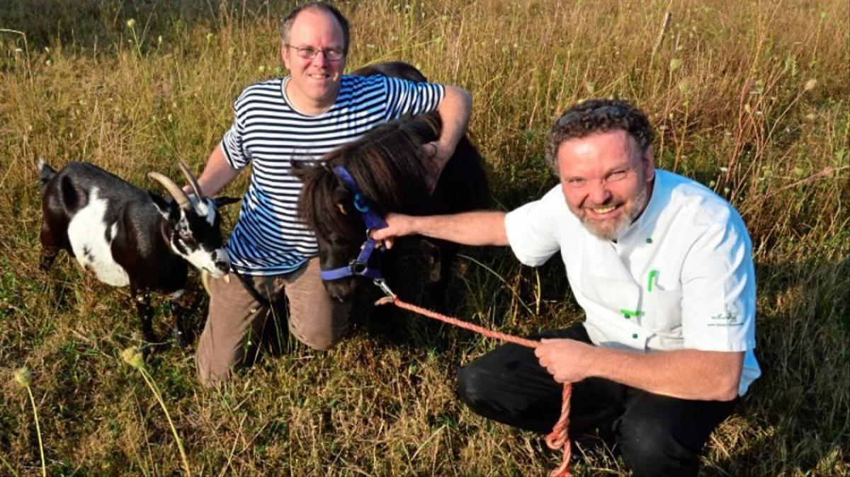 Blühwiese in Melle ist Deutschlands Naturwunder