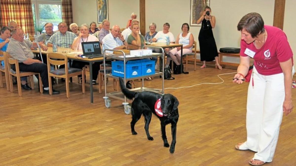 Diabetesanzeigehund Frieda beeindruckt bei Vortrag in
