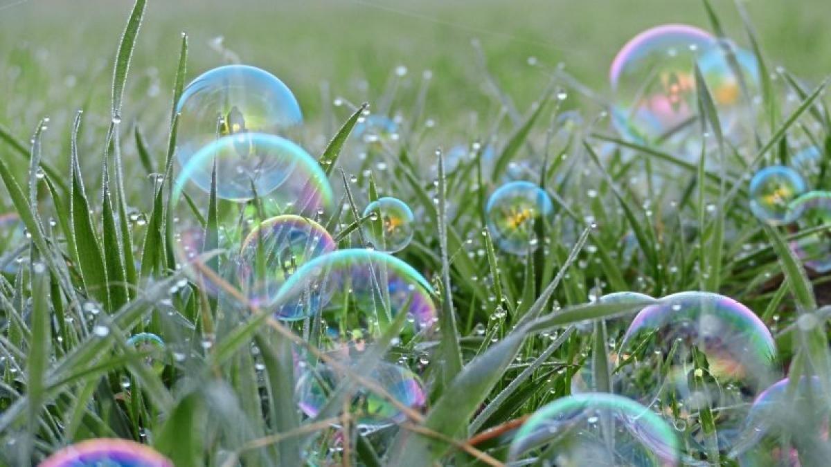 Überraschung auf der Seifenblasenwiese