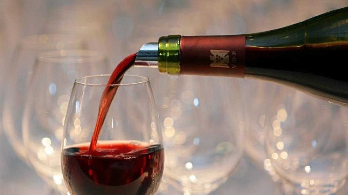 Was guten Rotwein auszeichnet: Seminar in