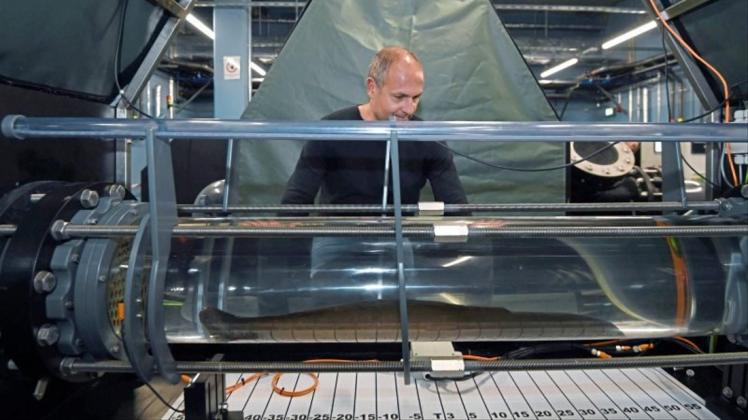 Für den Aal läuft nicht alles