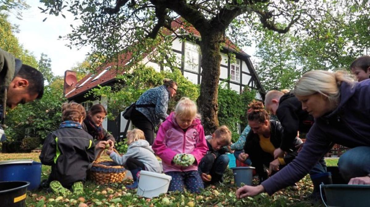 Mehr als drei Tonnen Äpfel ergeben 300 Kisten