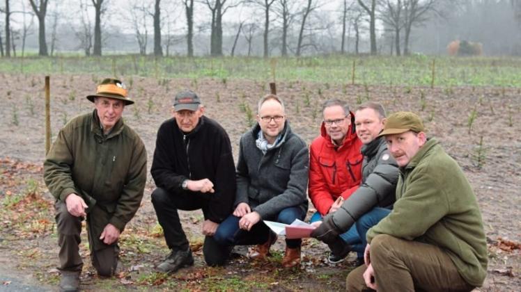 500 Rotfichten in Wietmarschen