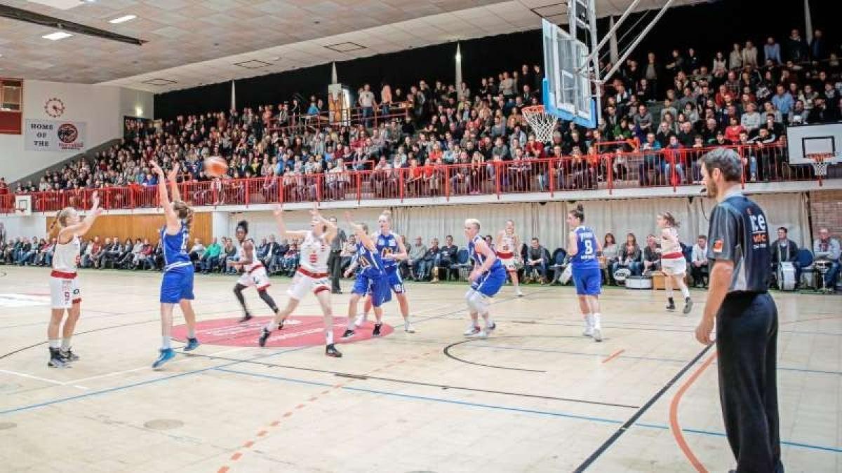 Panthers haben mit Tigers noch eine Rechnung