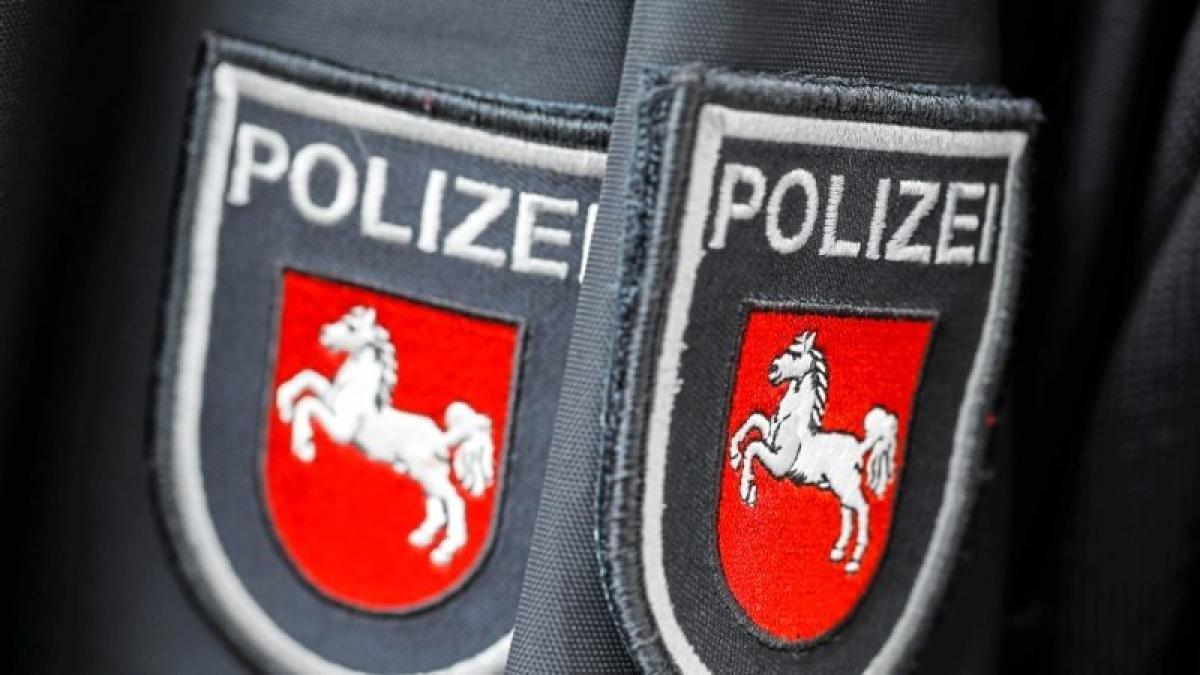 Auto kollidiert mit Pferd in Geeste – Tier | NOZ