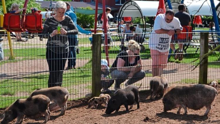 Wild- und Freizeitpark Ostrittrum in stetem