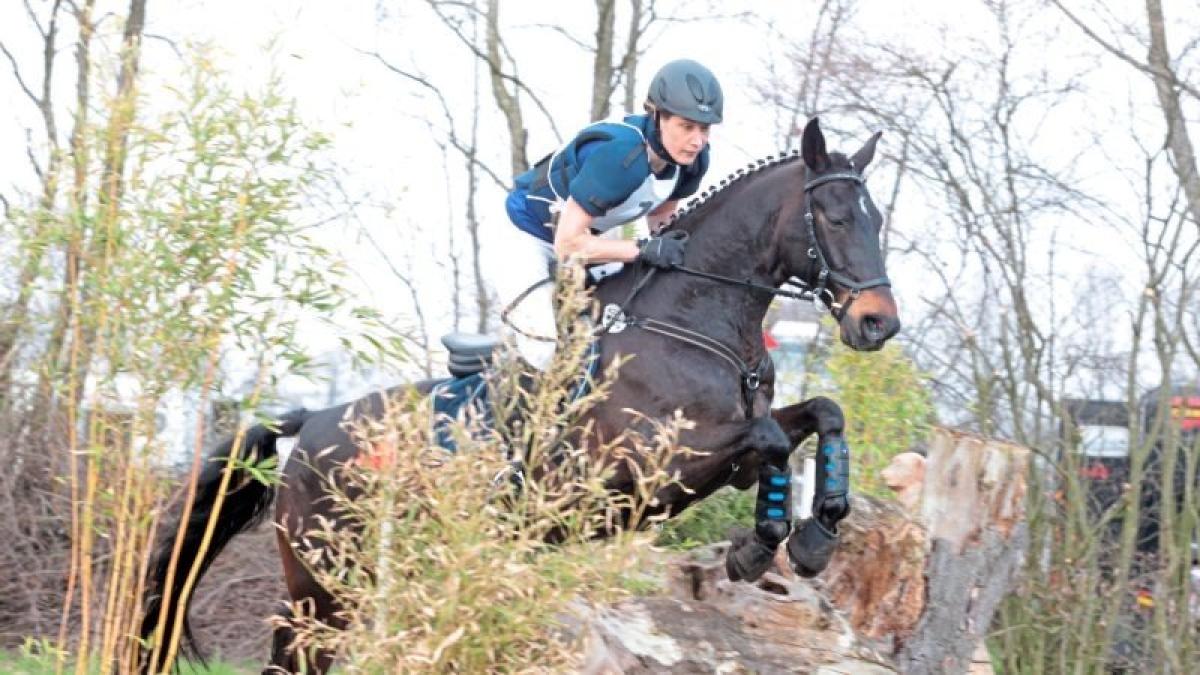 Olympiazweite Ingrid Klimke startet beim RFV