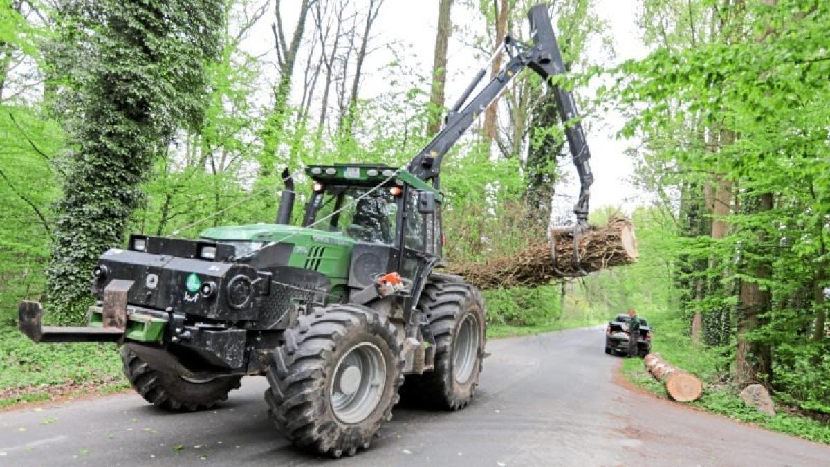 Pappelallee: Verwaltungsausschuss beschließt