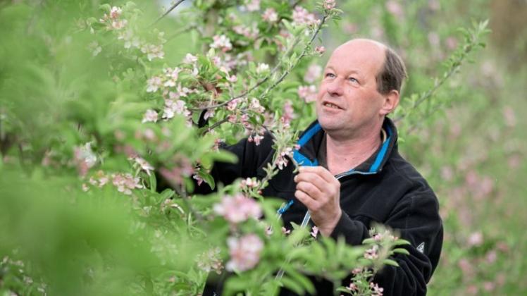 Frostige Nächte beunruhigen Wittlager
