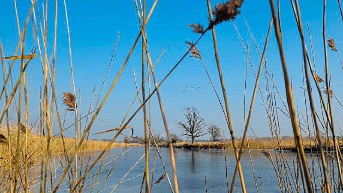 Frühlingshafte Temperaturen zum