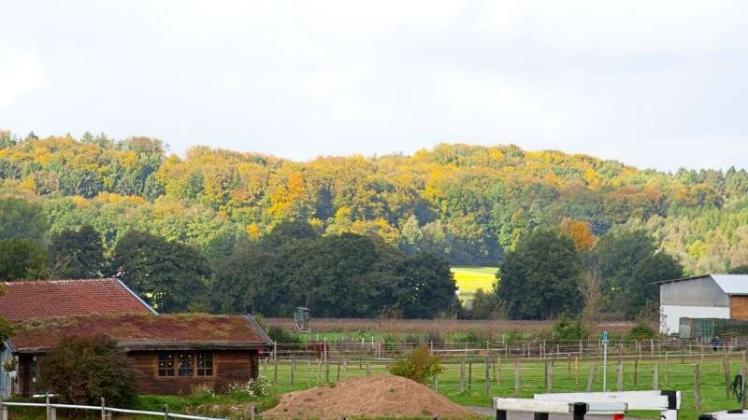 In Hasbergen sollen neue Wanderwege