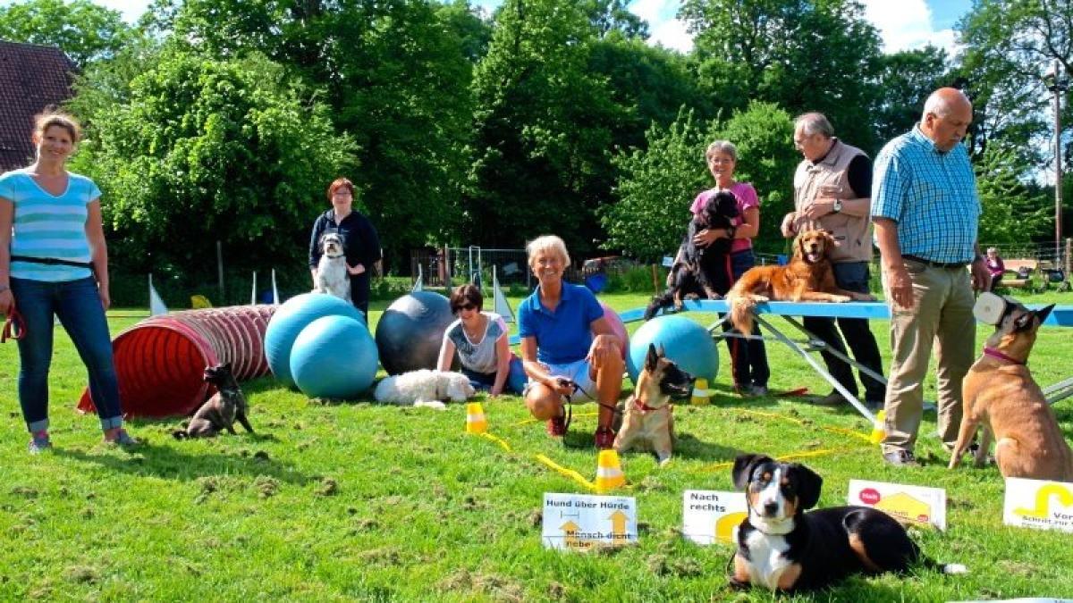 Aktionen zum Tag des Hundes in