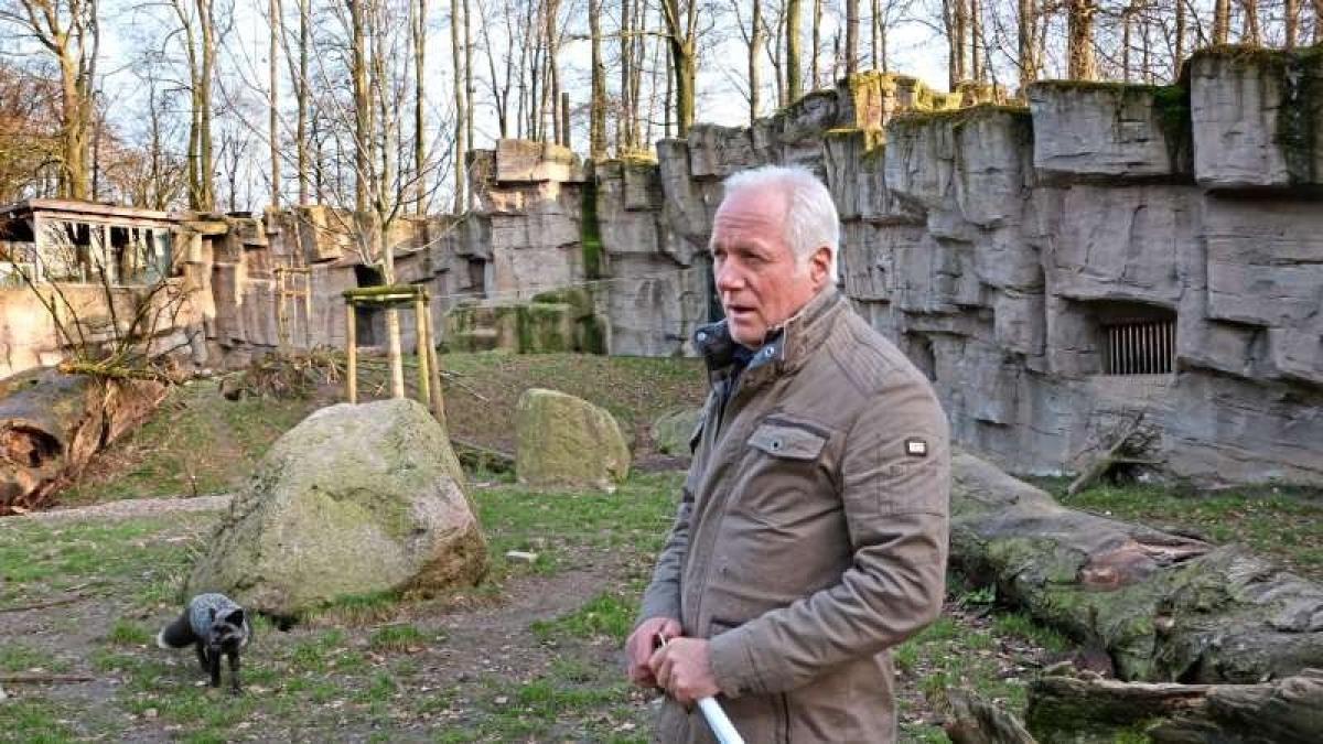 Wie konnte Bärin „Tips“ aus dem Zoo Osnabrück ausbrechen?