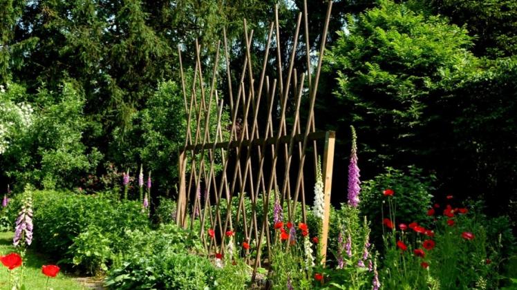 Warum Bohnen im Garten auch optisch eine Wucht | NOZ