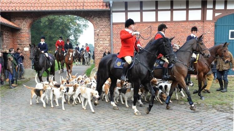 Jagdreiten in Berge begeistert Zuschauer und