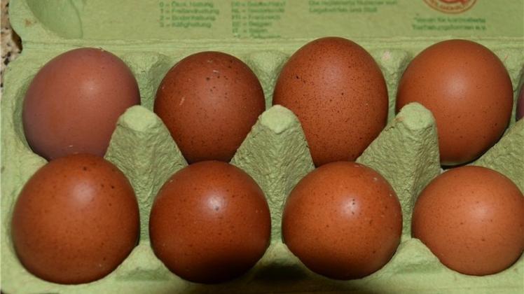 Amtsgericht Lingen setzt Verfahren gegen Eierdieb