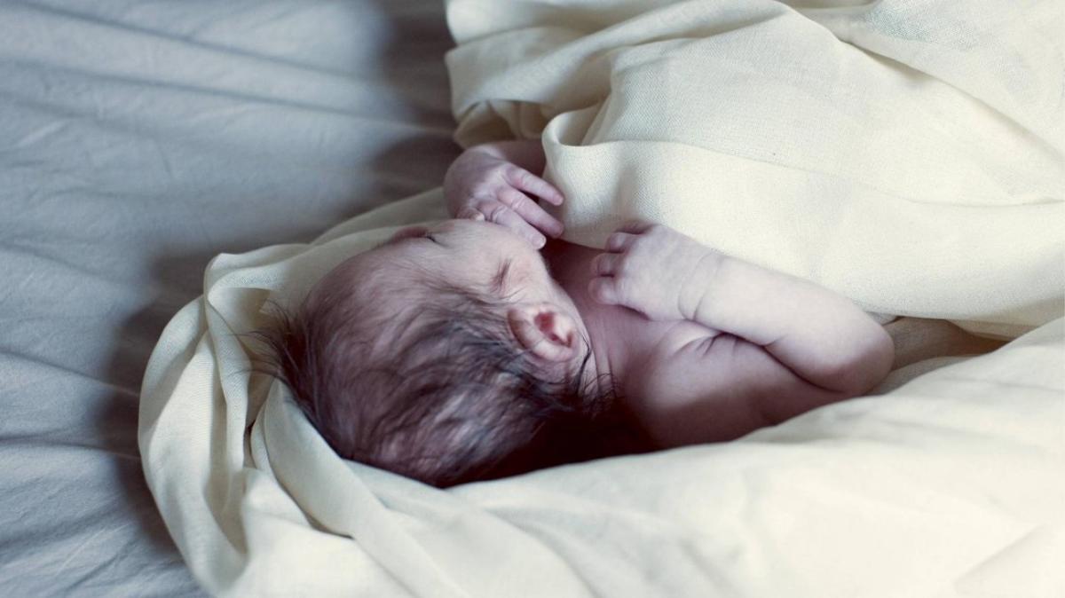 Nach Datenklau lässt Stadt Lingen sensible Daten aus dem