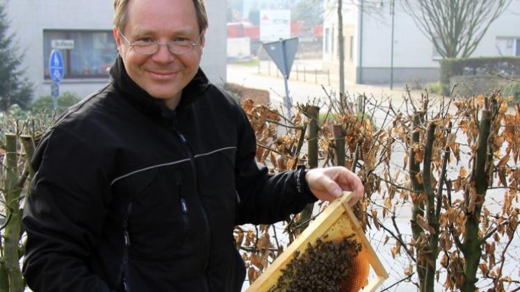 Fleißige Bienen in der Dorfimkerei