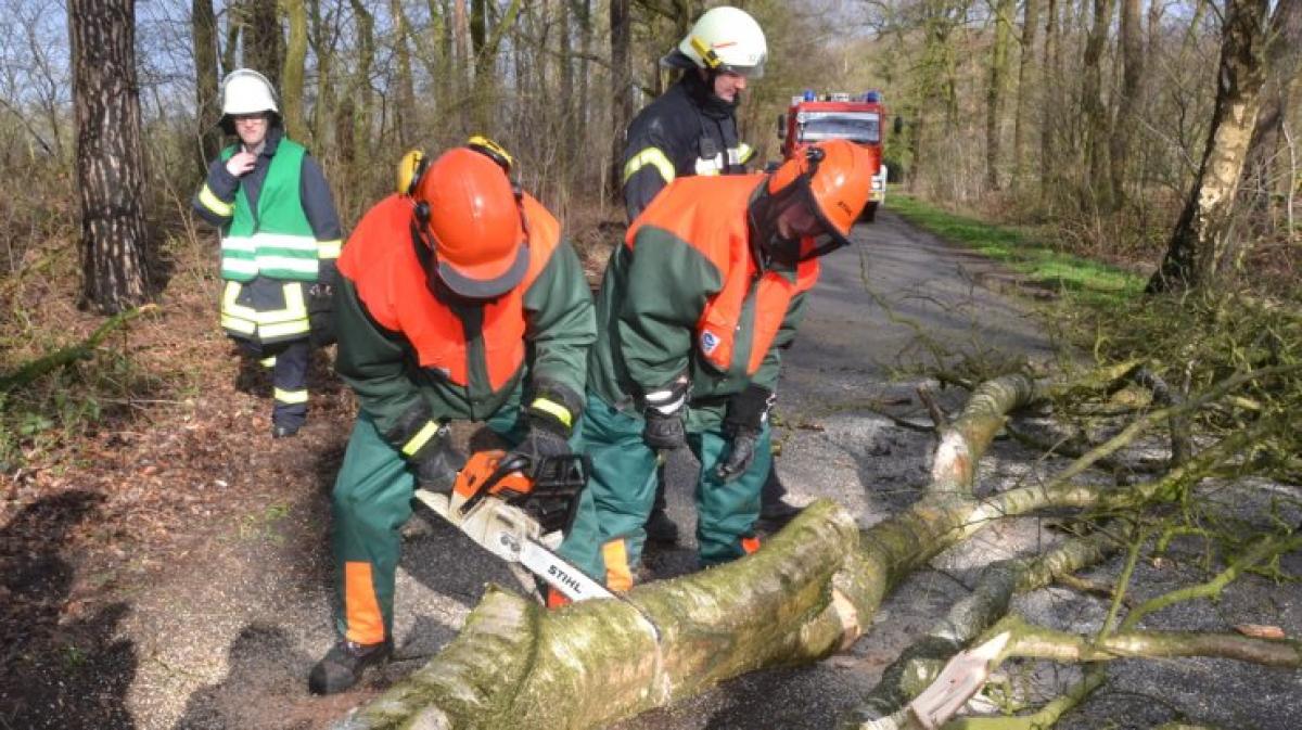 Sturmtief „Heini“ knickt Bäume im Landkreis Oldenburg