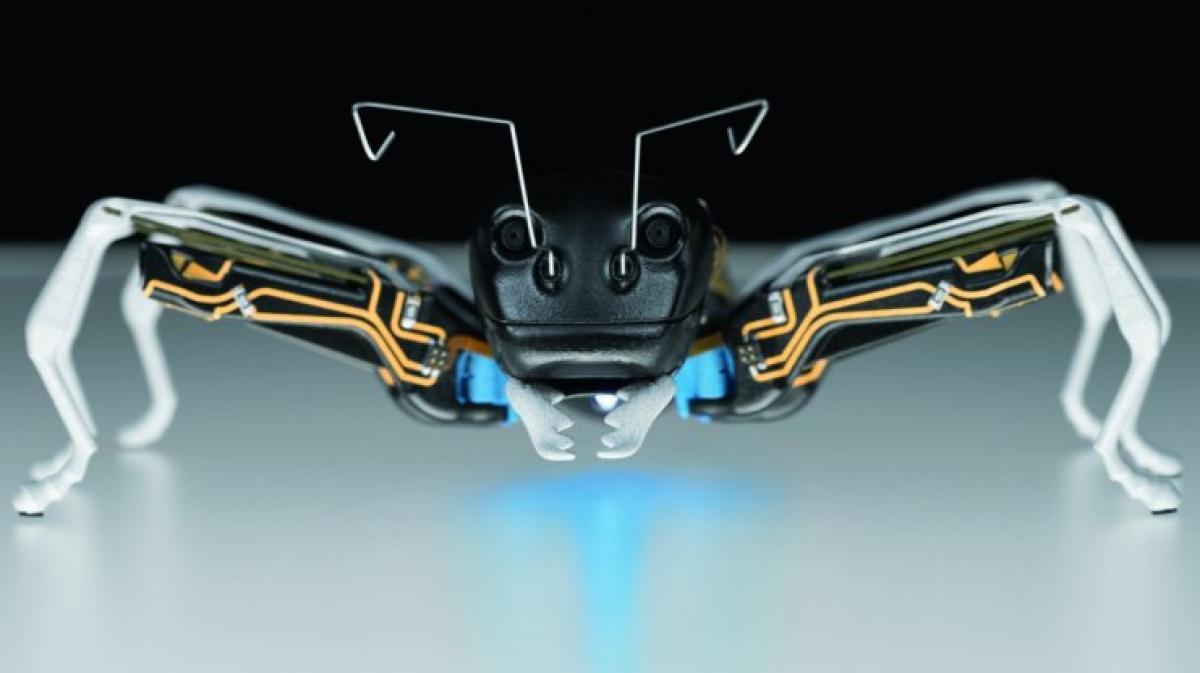 BionicAnts: Ameisen stehen für Roboter