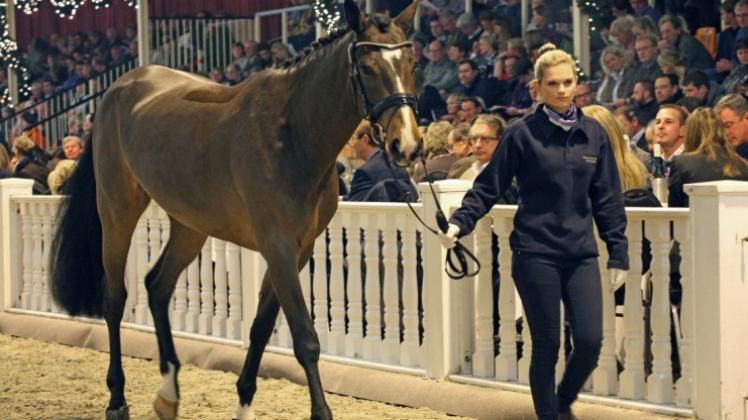 Gäste aus aller Welt bei PSI-Auktion in