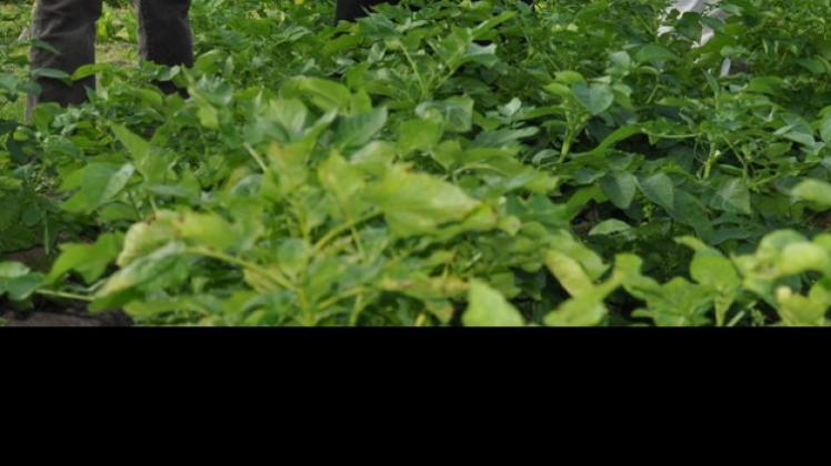 Moderne Beginen in Malgarten