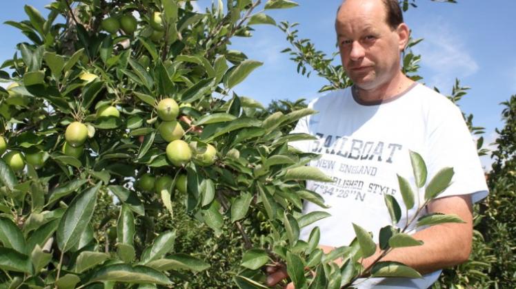 Nur schwache Apfelernte im Wittlager