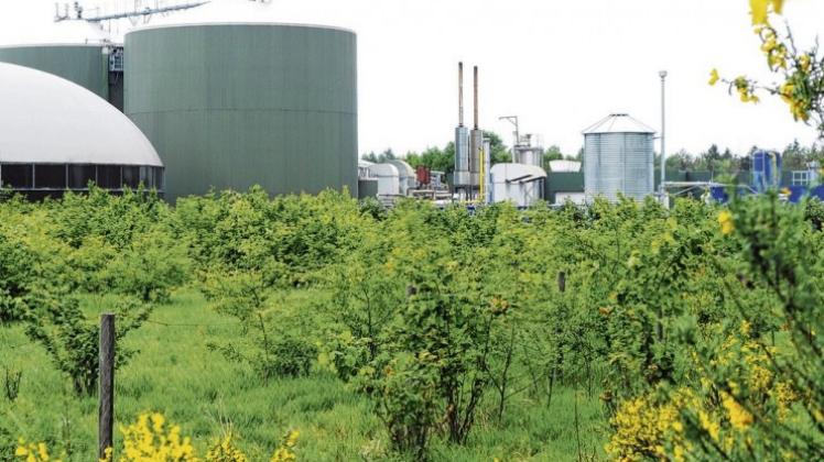 Im Autotank Biogas „made in