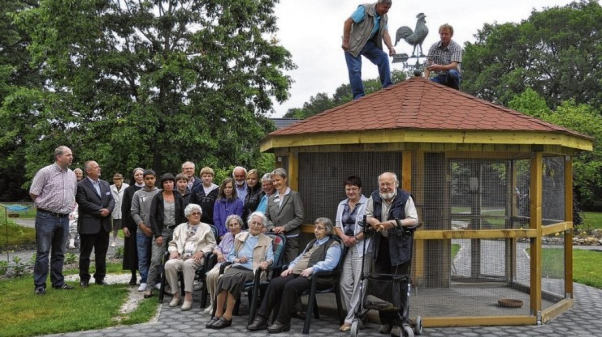 Bunte Exoten zwitschern im Garten