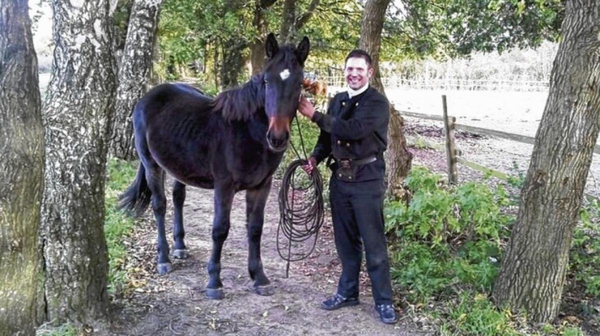 Haselünne: Pferd an Kehrleine