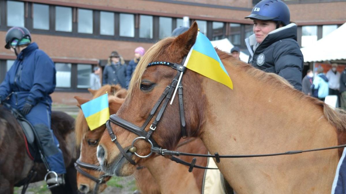 Sternritt in Quickborn: 8000 Euro Spenden für Ukraine-Flüchtlinge