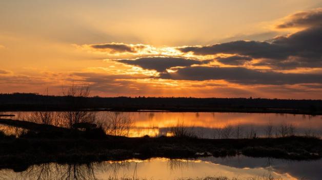 Quickborn: Immer mehr Führungen zum Torfabbau im Himmelmoor | SHZ