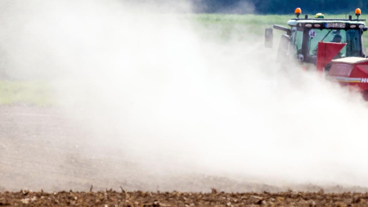 Die anhaltende Trockenheit macht uns und der Natur zu schaffen. | SVZ
