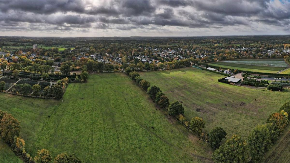 Grüne wollen dörflichen Charakter in Waldenau erhalten | SHZ