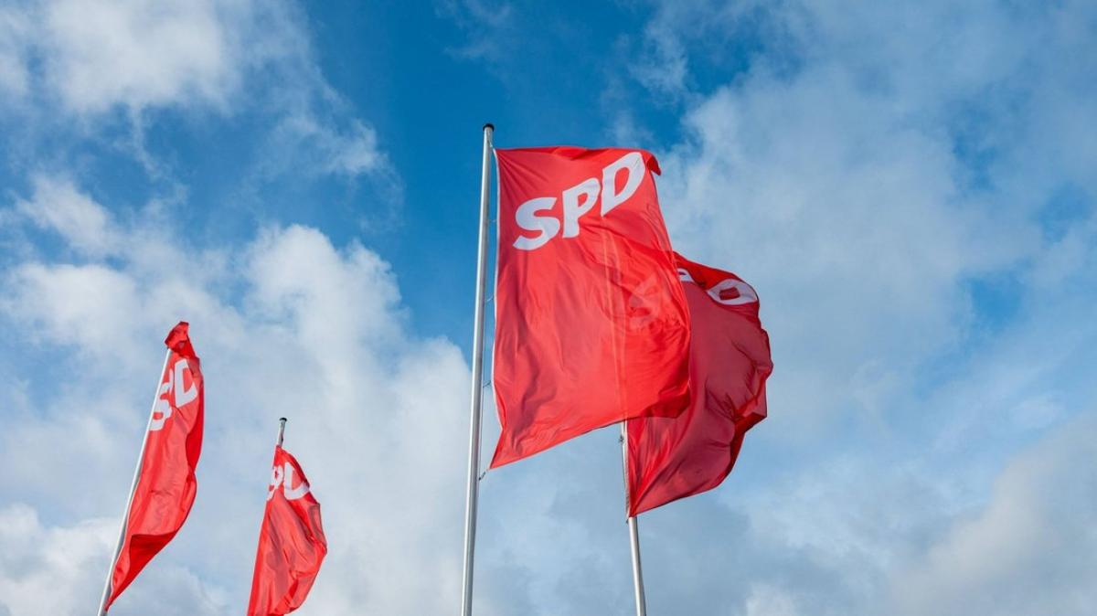 Wie kommt die SPD in SH aus dem Tal der Tränen? | SHZ
