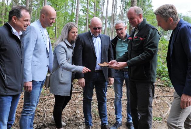 So soll aus „Surwolds Wald“ ein robuster Mischwald werden