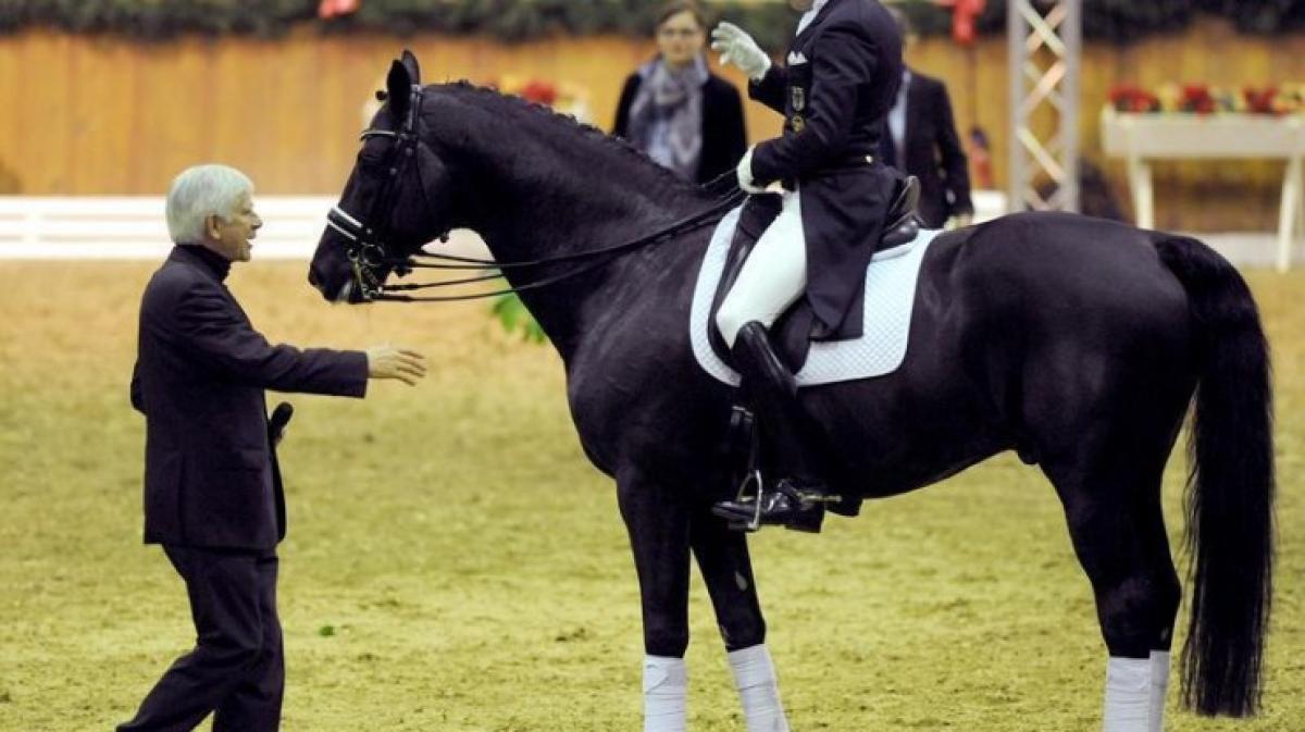 Olympia-Aus für Totilas: Reiter Rath