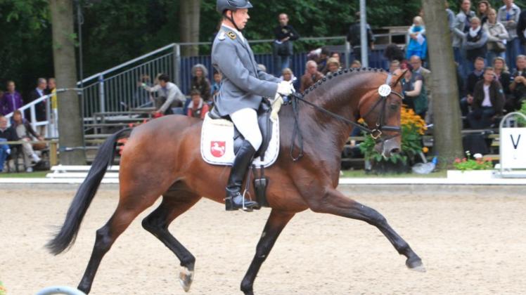Landgestüt zeigt in Rulle eine Auswahl der besten