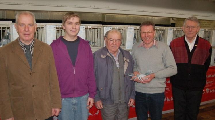 210 Tauben bei der Ausstellung am Bramscher Lutterdamm