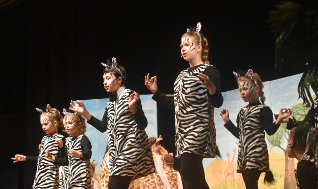 Umjubelte Musical-Premiere der Musikschule Bad Oldesloe