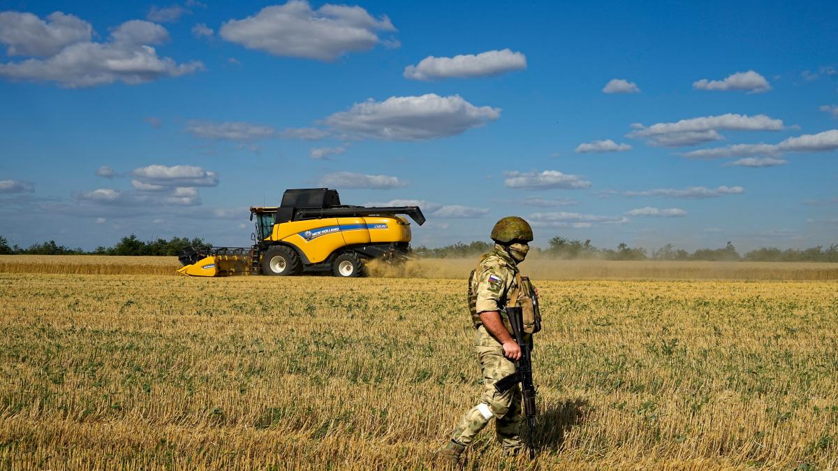 Russland transportiert Weizen aus der Ukraine