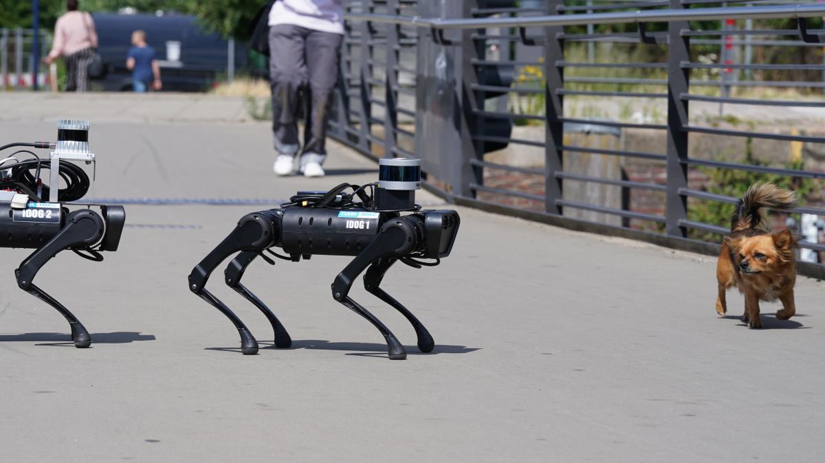 TU Hamburg: Roboterhunde für die Hamburger Infrastruktur | SHZ