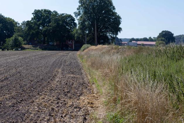 Plagenwirtschaft: Historische Besonderheit im Osnabrücker Land