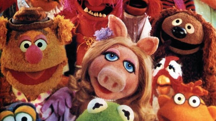 Der Wahnsinn erobert die Bühne: Die Muppet Show | NOZ