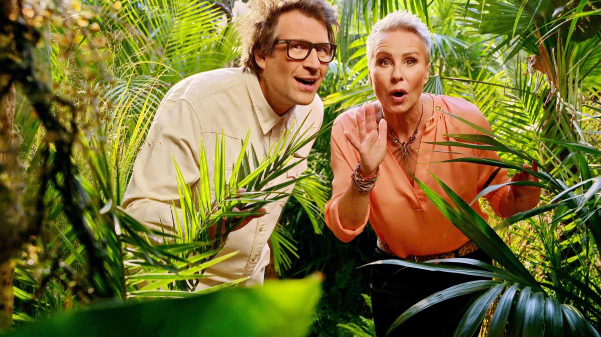 „Bild“: Das sind die Kandidaten für das Dschungelcamp 2023
